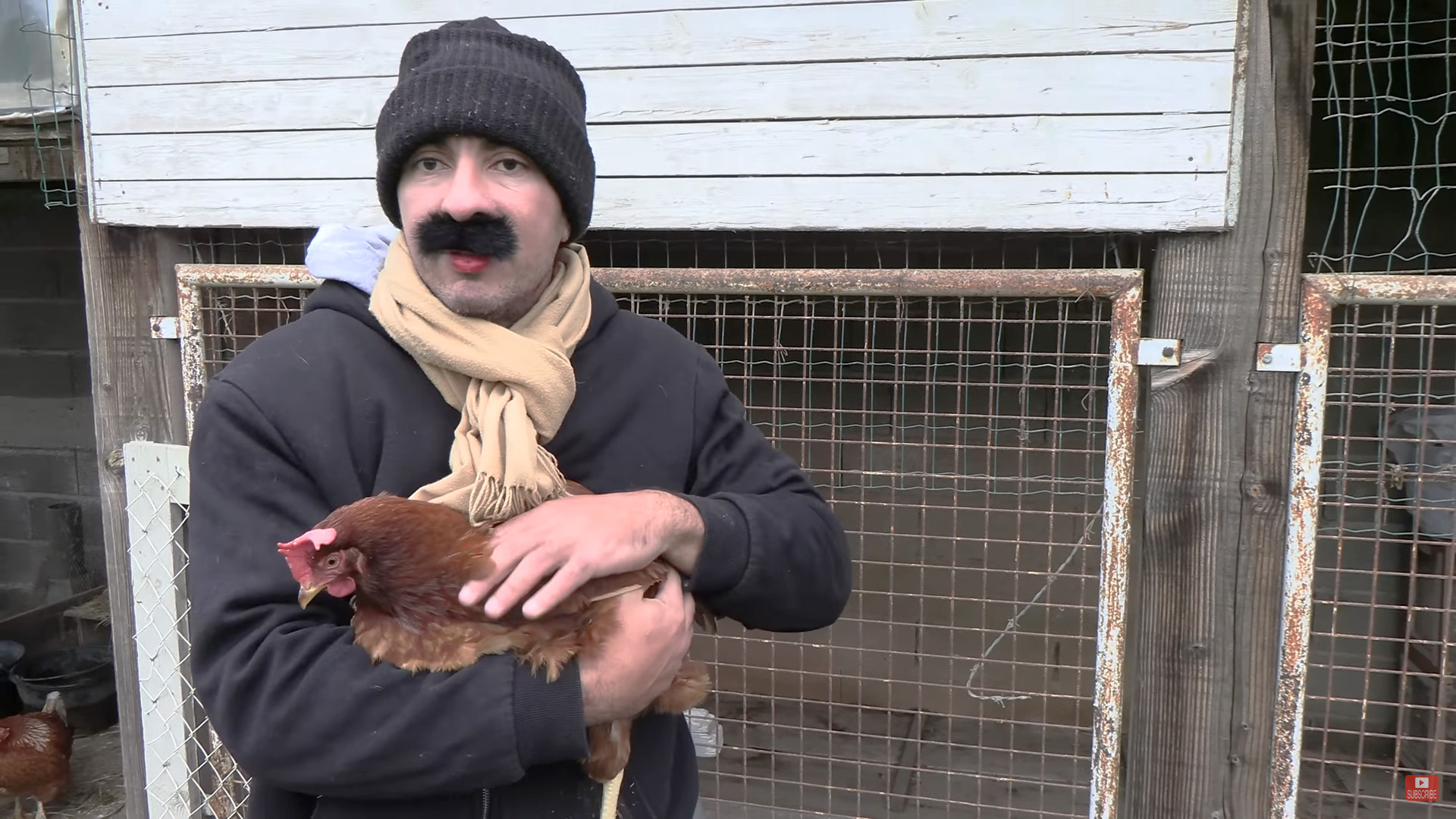 Survivaliste et wokiste : Témoignage de Kelly qui aime les poules et s ...